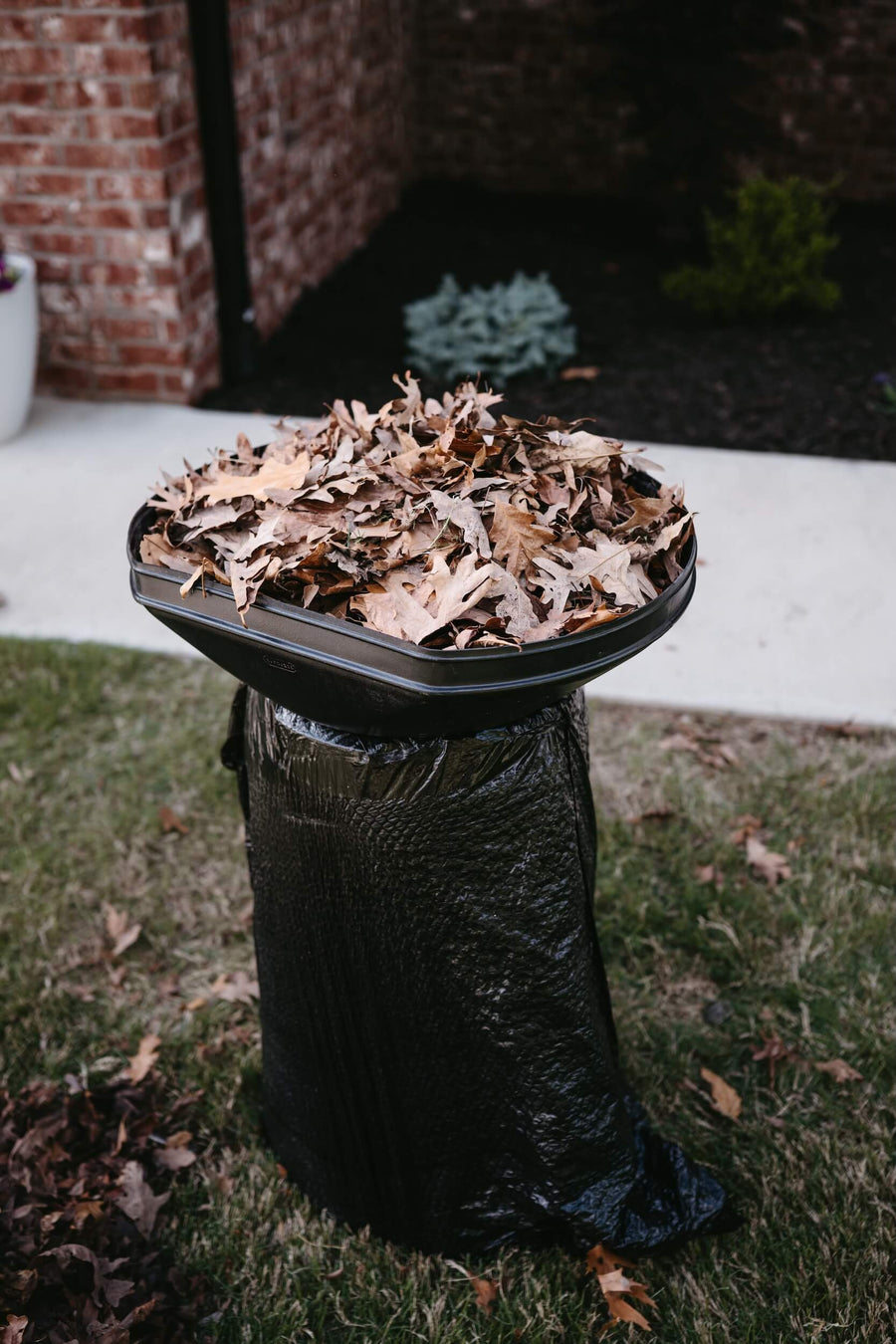 The Leaf Funnel
